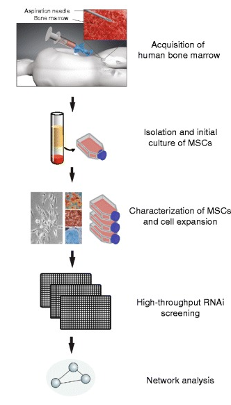 HTS Service for Antiviral Drug Screening - Creative Diagnostics