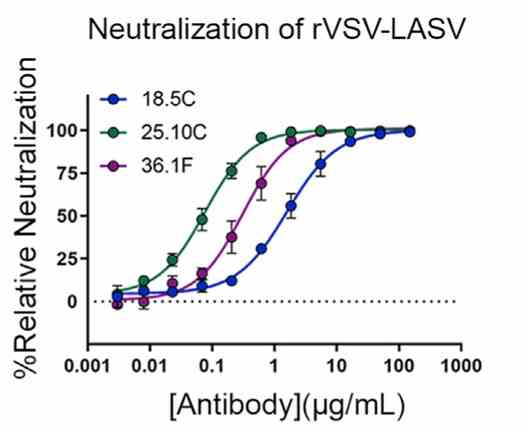 NeutraAb™ Human Anti-LASV GPC monoclonal Antibody, clone 25.10C ...