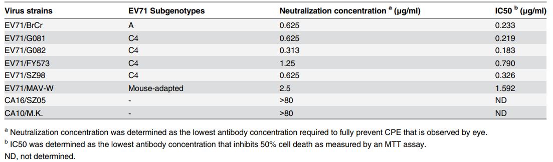 NeutraAb™ Mouse Anti-EV71 VP1 Monoclonal Antibody, clone D5 - Creative ...