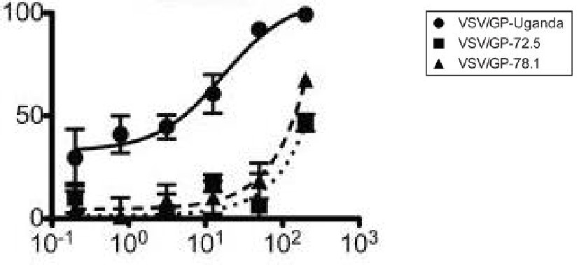 NeutraAb™ Human Anti-MARV Glycoprotein Monoclonal Antibody, clone MR78 ...