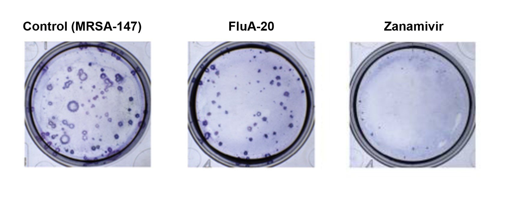 NeutraAb™ Human Anti-IAV HA Globular Head Monoclonal Antibody, clone ...