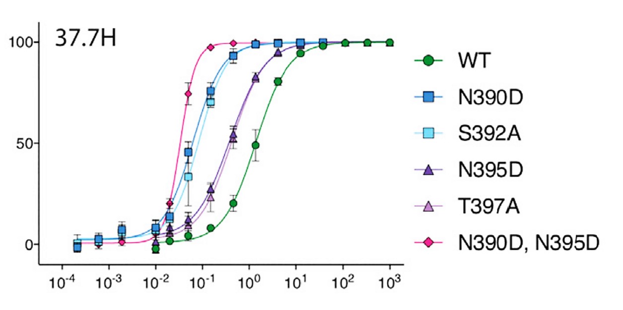 NeutraAb™ Human Anti-Lassa Virus GPC Monoclonal Antibody, clone 37.7H - Creative Diagnostics