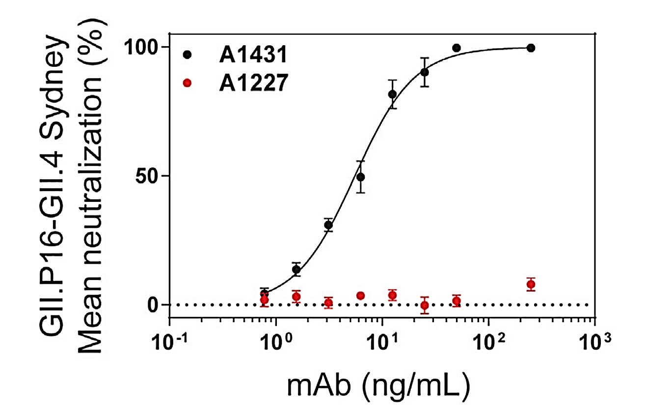 NeutraAb™ Human Anti-Norovirus GII.4 Monoclonal Antibody, clone A1431 ...