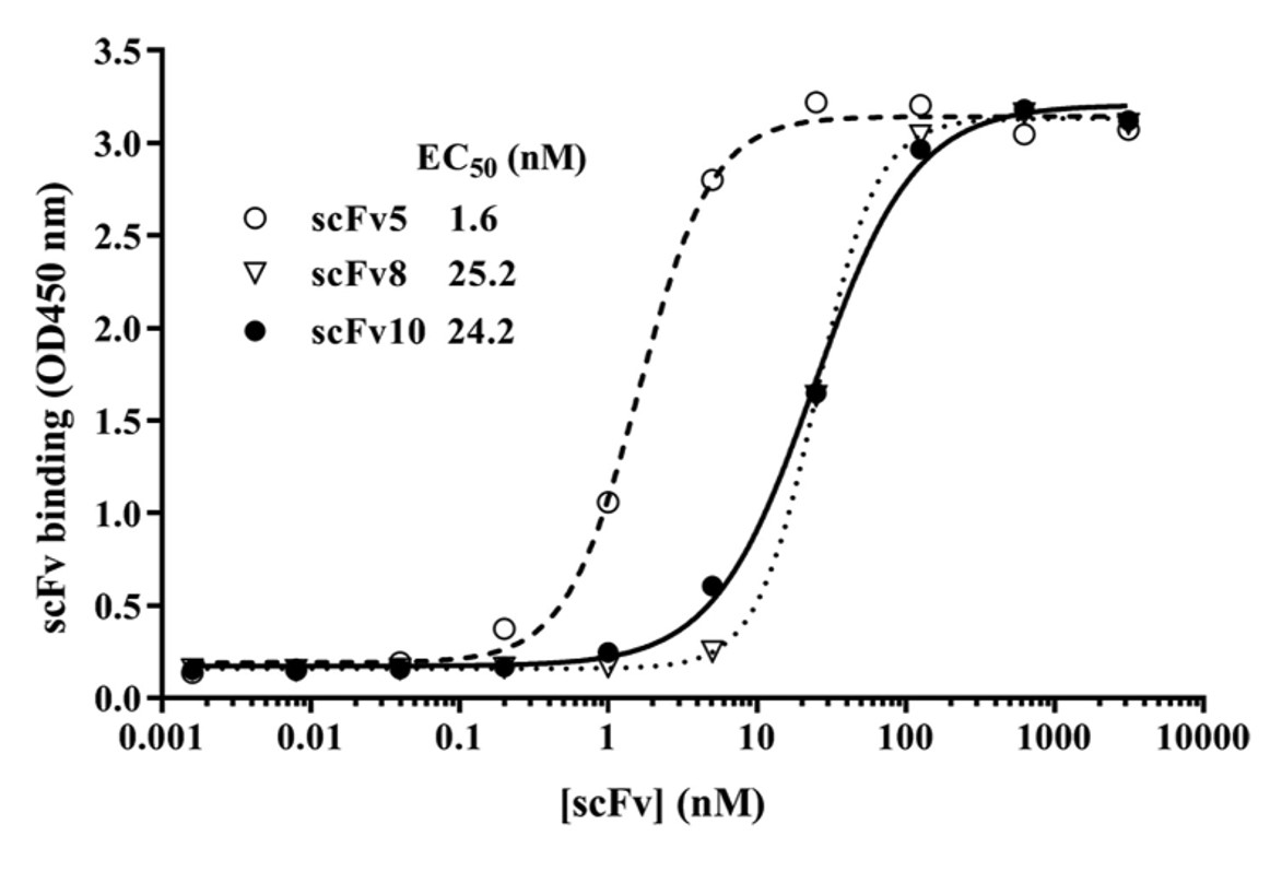 NeutraAb™ Human Anti-Pseudomonas Aeruginosa SpuE Monoclonal Antibody ...