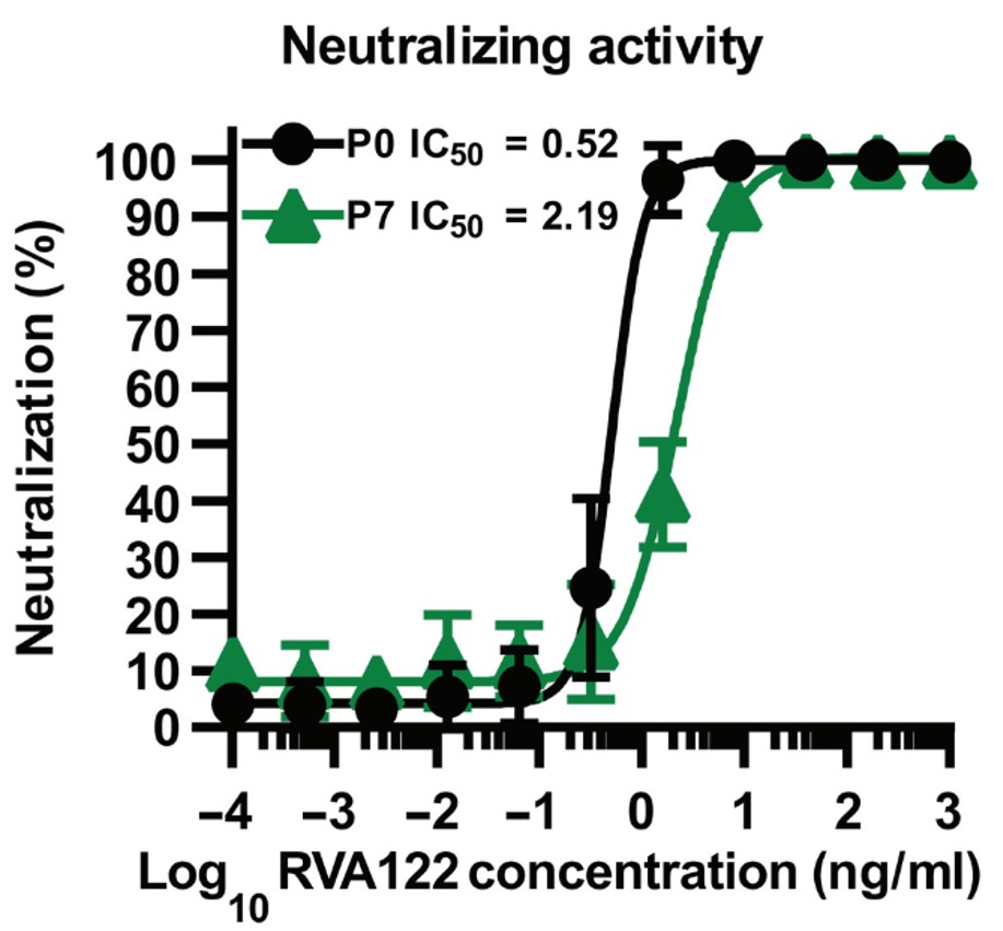NeutraAb™ Human Anti-Rabies Virus Glycoprotein Monoclonal Antibody, clone RVA122 - Creative ...