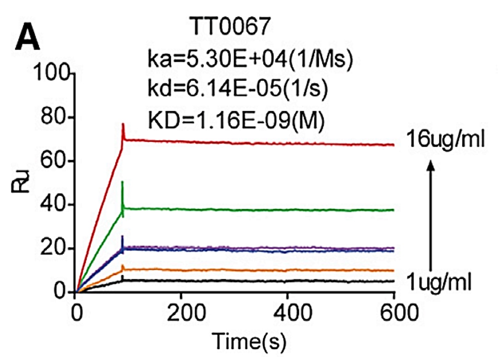 NeutraAb™ Human Anti-Tetanus Toxin Monoclonal Antibody, clone TT0067 - Creative Diagnostics