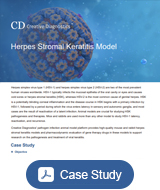 HSV Animal Model - Creative Diagnostics