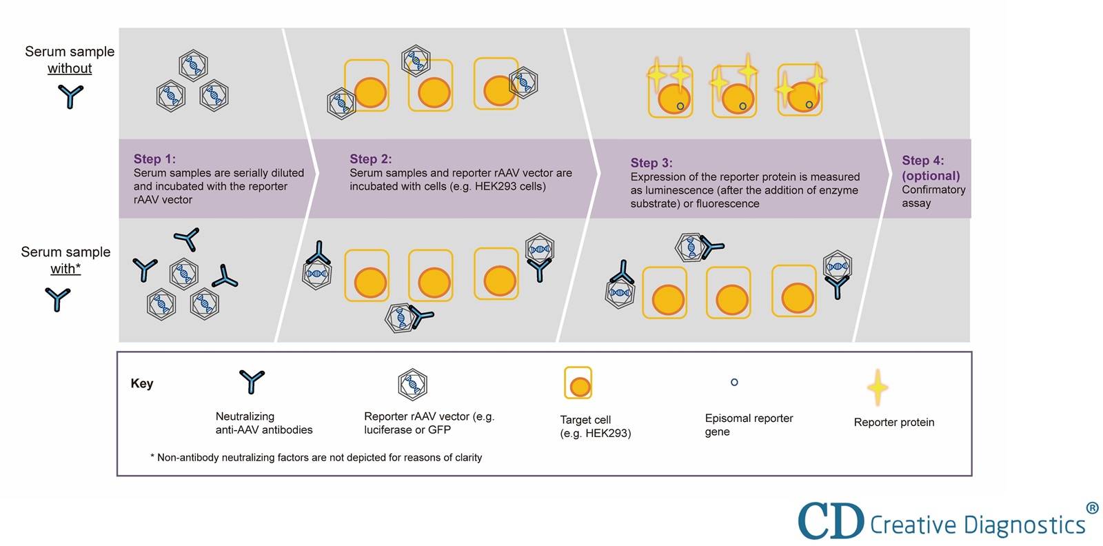 AAV NAb Testing Services - Creative Diagnostics