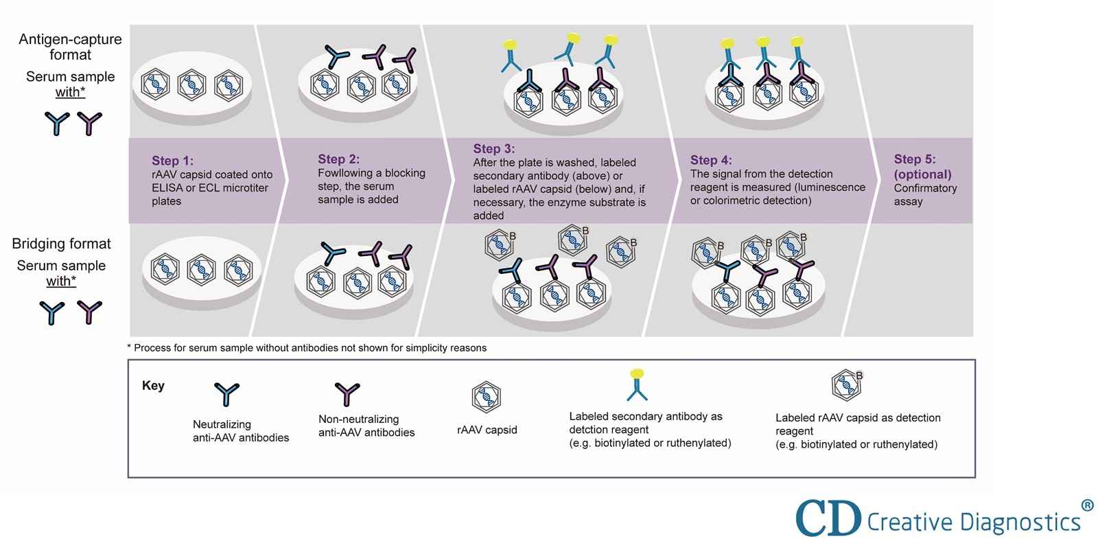 AAV Total Antibody Testing Services - Creative Diagnostics