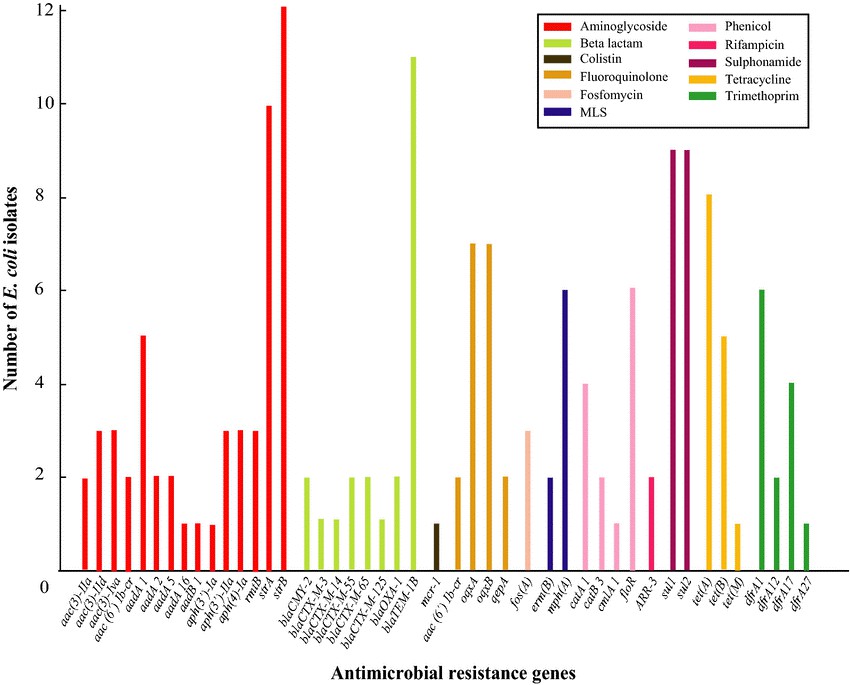 Antimicrobial Resistance Gene Detection - Creative Diagnostics