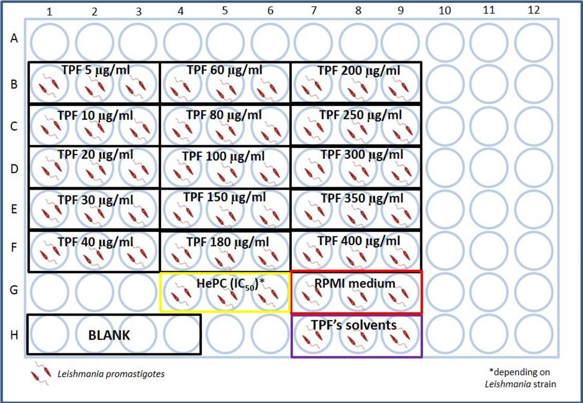 CC50/IC50 Assay for Antiviral Research - Creative Diagnostics