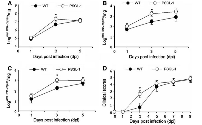 EV71 PSGL-1 Transgenic Mouse Model - Creative Diagnostics