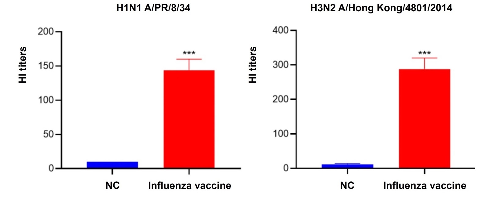 Influenza Vaccine & Antiviral Preclinical CRO - Creative Diagnostics
