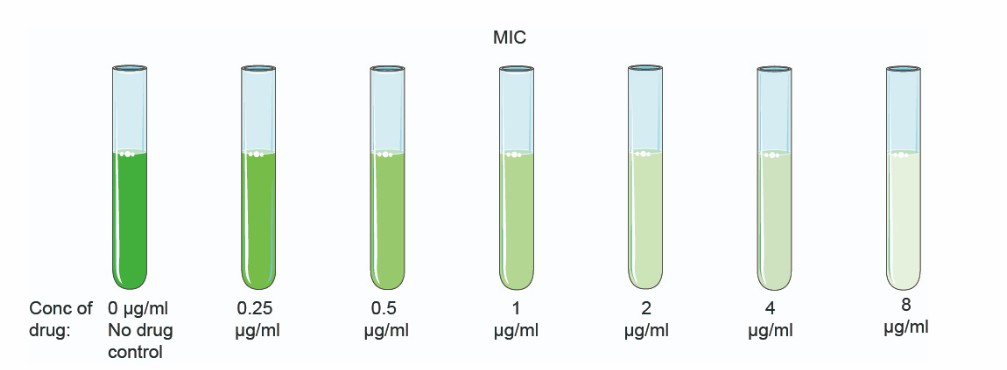 Antibiotic Susceptibility MIC/MBC Testing - Creative Diagnostics
