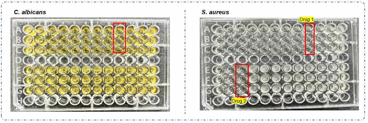 Antibiotic Susceptibility MIC/MBC Testing - Creative Diagnostics