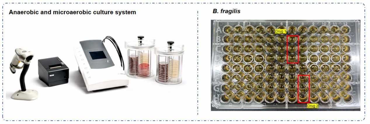 Antibiotic Susceptibility MIC/MBC Testing - Creative Diagnostics