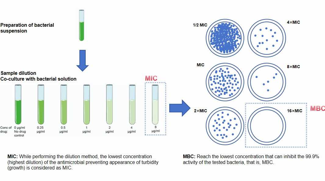 Antibiotic Susceptibility MIC/MBC Testing - Creative Diagnostics