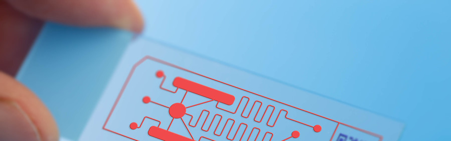 In Vitro Antiviral Testing Services - Creative Diagnostics