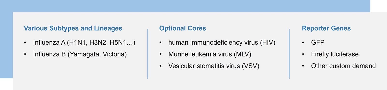 Custom Pseudotyped Reporter Virus for Influenza - Creative Diagnostics