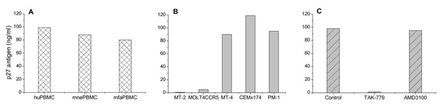 RT-SHIV-TC IV Infection Model - Creative Diagnostics