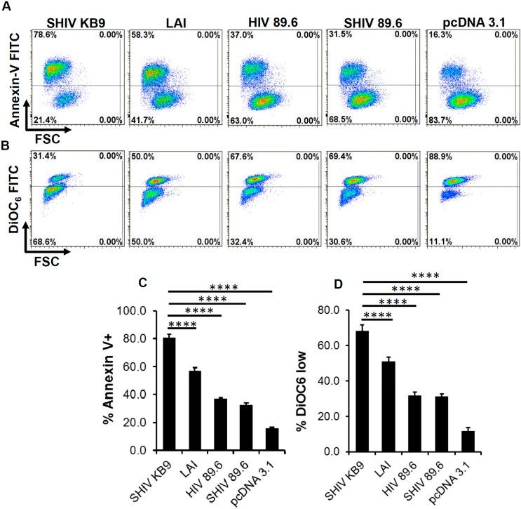 SHIV-KB9 IV Infection Model - Creative Diagnostics