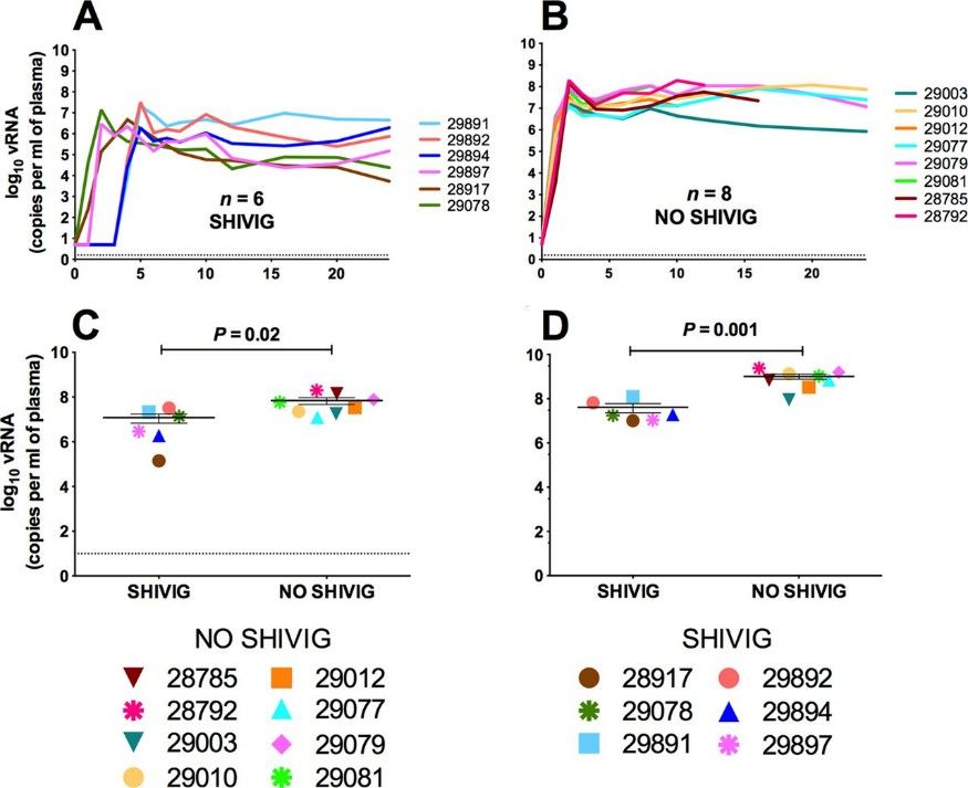 SHIVsf162p3 IV Infection Mode - Creative Diagnostics