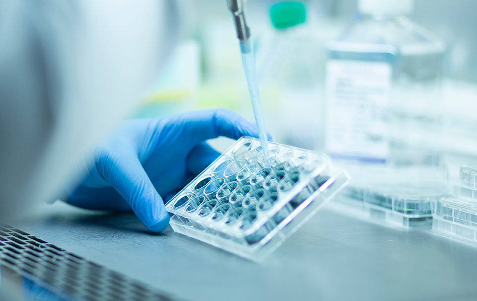 Live Attenuated Vaccine - Creative Diagnostics