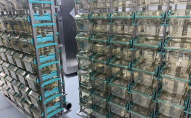 Vaccine Development Creative Diagnostics