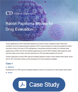 Rabbit Papilloma Model for HPV Research - Creative Diagnostics