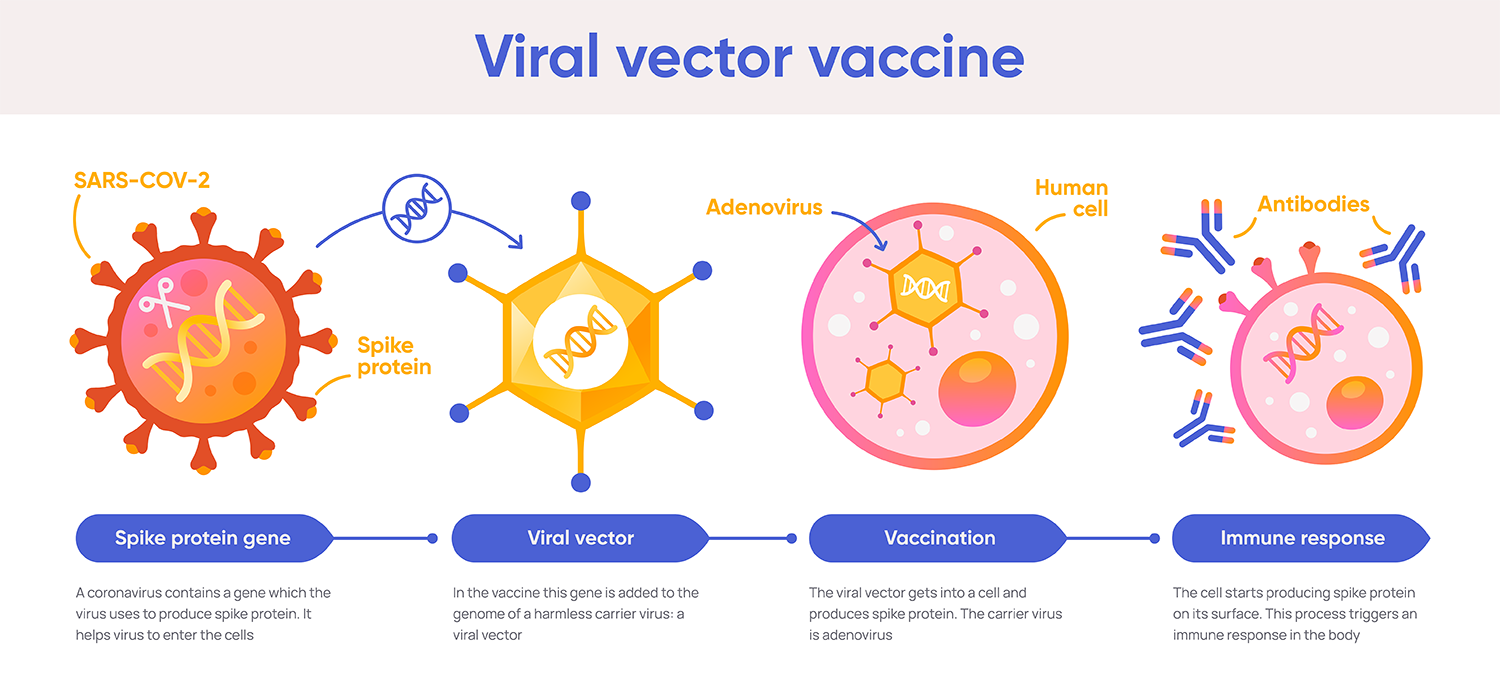 Viral Vector Vaccine Development Services - Creative Diagnostics